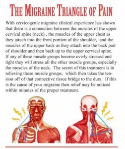 13 Secrets of Cervicalgia Headaches with exercises and treatments ...